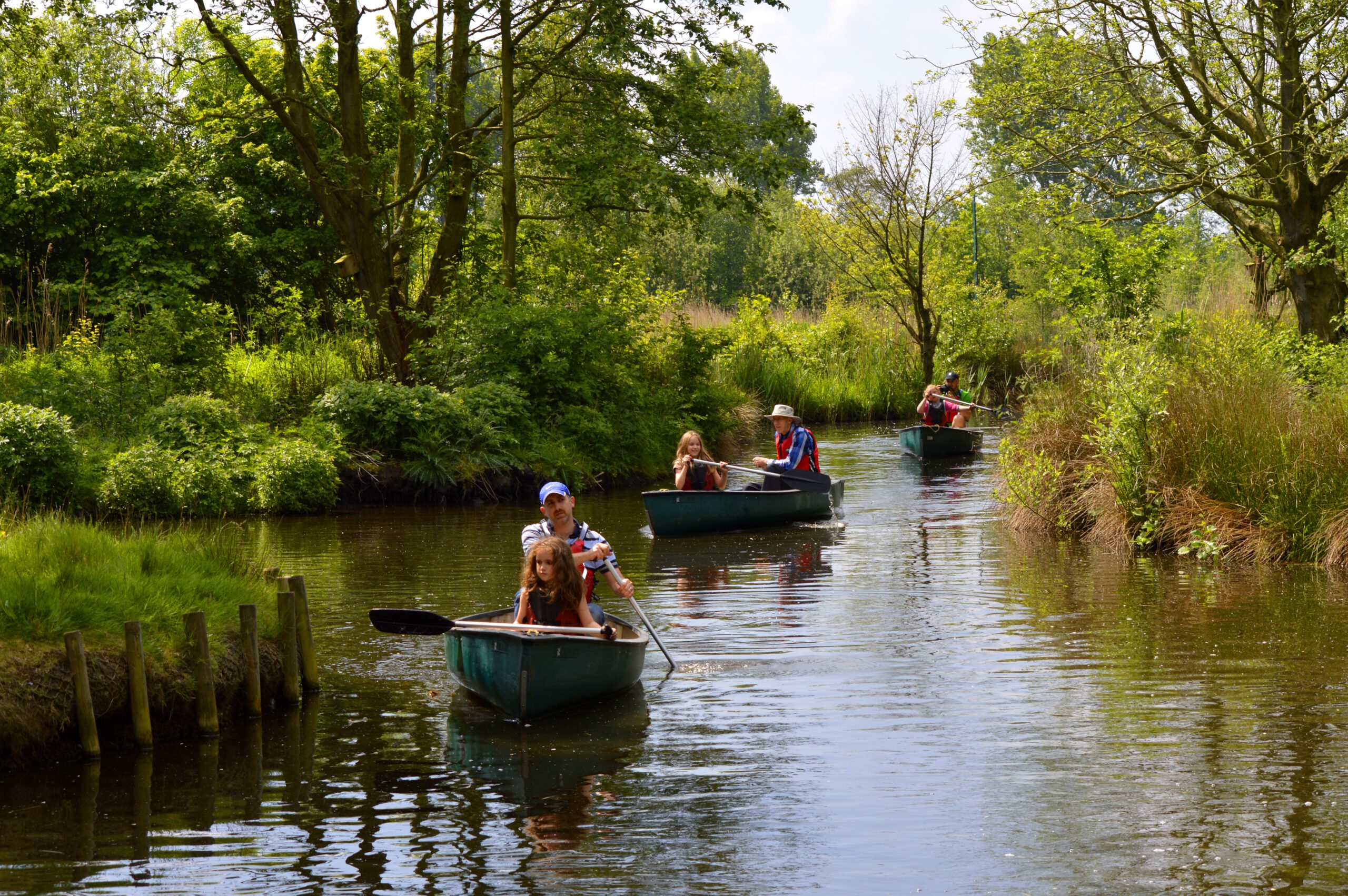 Protecting Wetlands & Waterways - Planet Technologies